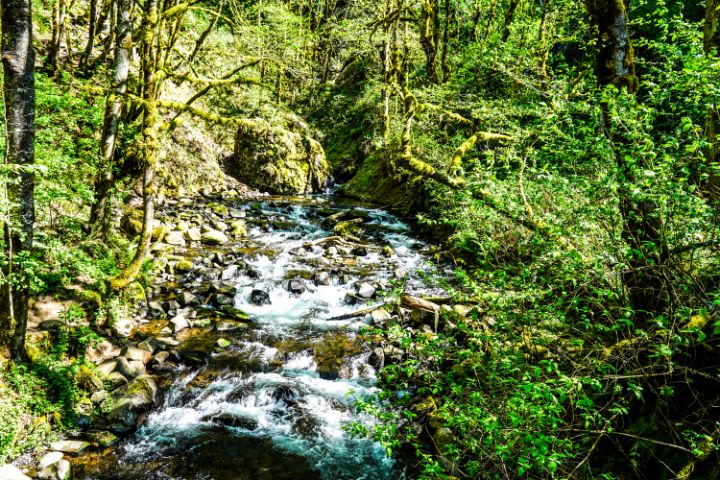 Spring Runoff in the Gorge - Oregon - 360 Studios Fine Art - William ...