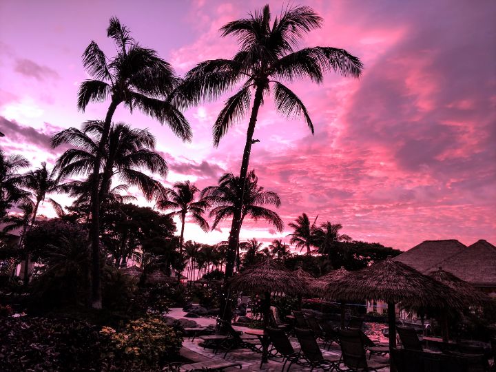 After the Beach Party - Tropical Sun - 360 Studios Fine Art - William ...