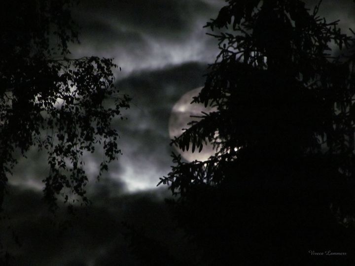 Full Moon 272 - Viveca Lammers - Photography, Astronomy & Space, Moon ...