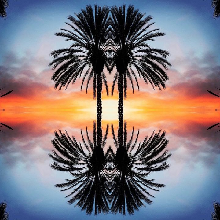 Infinity Palms - Libbys_ArtStudio - Photography, Landscapes & Nature ...