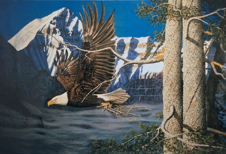 Crater Lake Eagle - Little Zebra - Paintings & Prints, Animals, Birds ...