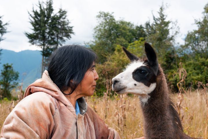 San Clemente - Rode Photography - Photography, Ethnic, Cultural ...