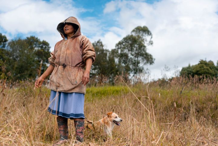 San Clemente 2 - Rode Photography - Photography, Ethnic, Cultural ...