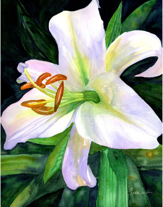 Lexie Austin Art - Paintings & Prints