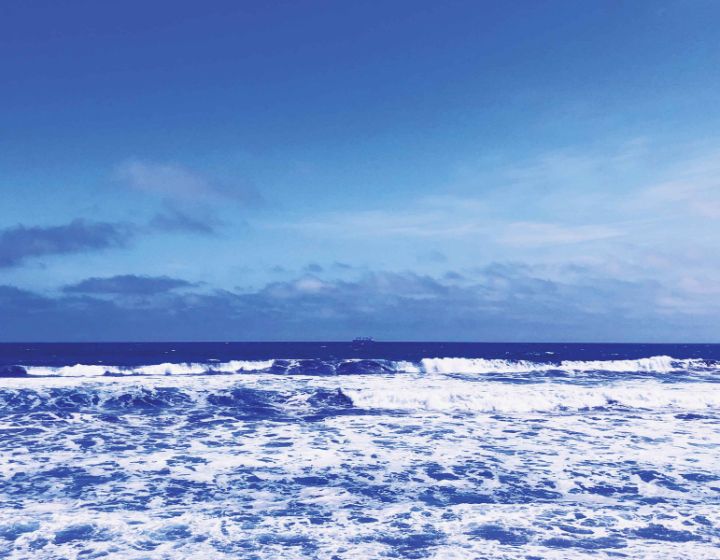 D'Anna Mace Creates - Photography, Paintings & Prints, Digital Art & AI