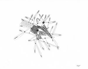 Bruno Berni - Drawings & Illustration