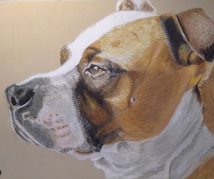 Norman - CG Animal Art - Paintings & Prints, Animals, Birds, & Fish ...
