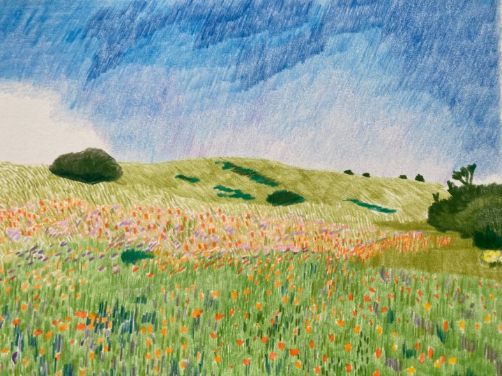 Fields of Flowers - Kuprian Art - Drawings & Illustration, Landscapes ...