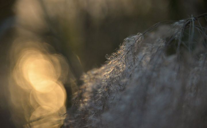 Sunehri - Crebot - Photography, Landscapes & Nature, Natural Phenomena ...