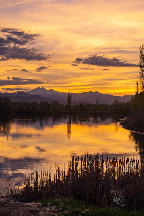 Golden Sunset - Natural Beauty - Photography, Landscapes & Nature ...