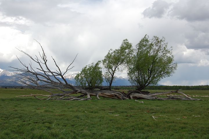 Rebirth - Natural Beauty - Photography, Landscapes & Nature, Mountains ...
