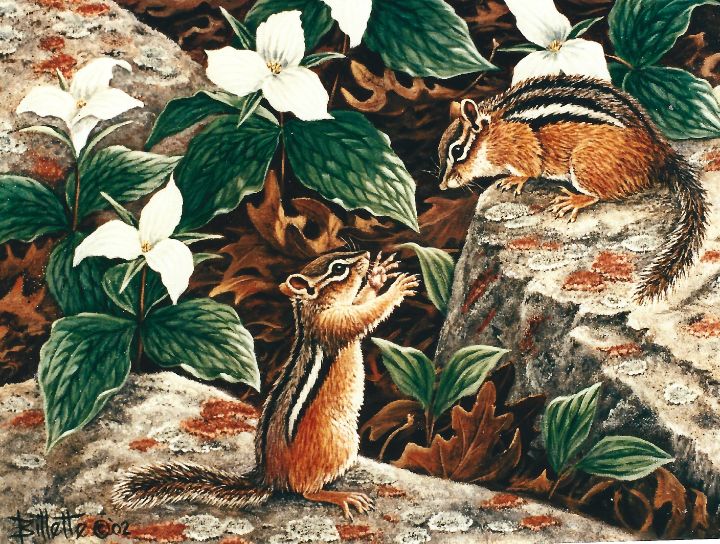 Chipmunk Couple Original Oil 12"x16" - MindStream - Paintings & Prints ...