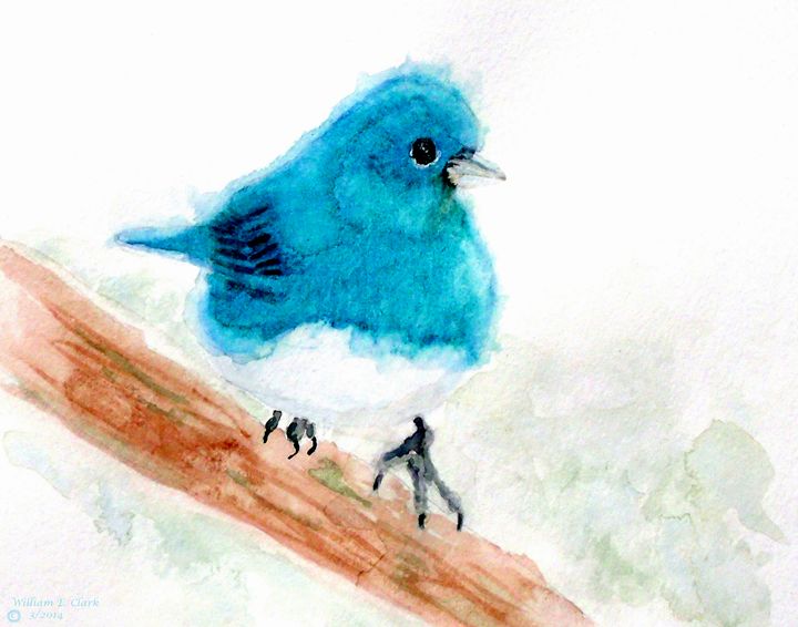 dark eyed junco - Willsart - Paintings & Prints, Animals, Birds, & Fish ...