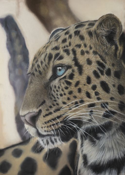 Beautiful Leopard Drawings