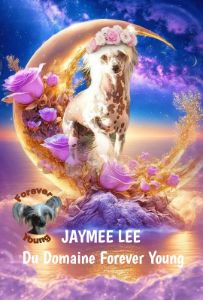 Elorac - Photography, Paintings & Prints, Digital Art & AI