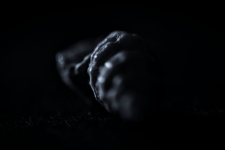 High Contrast Shell Macro 4 - B&W - THEGLOWINGBROCCOLI - Photography ...