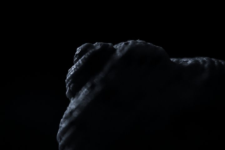 High Contrast Shell Macro 3 - B&W - THEGLOWINGBROCCOLI - Photography ...
