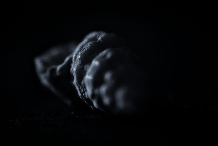 High Contrast Shell Macro 5 - B&W - THEGLOWINGBROCCOLI - Photography ...