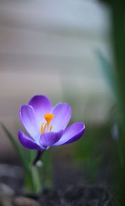 pictureJemel - Photography