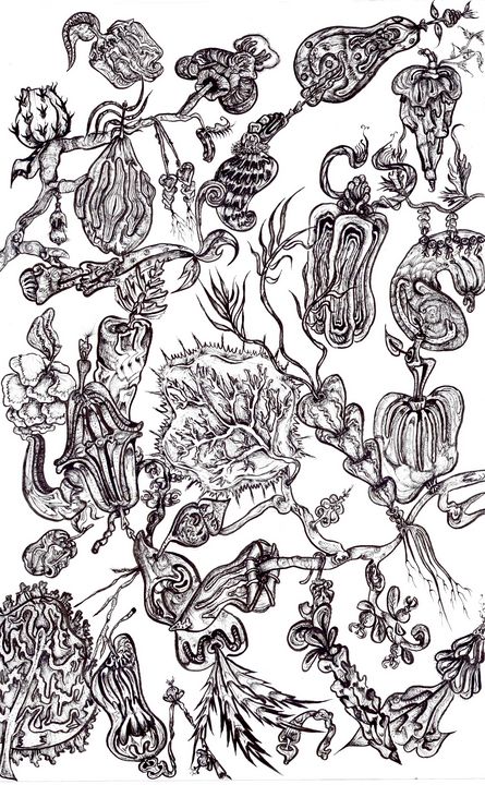 Nutritional Rejects - Anna Edelman - Drawings & Illustration, Flowers ...