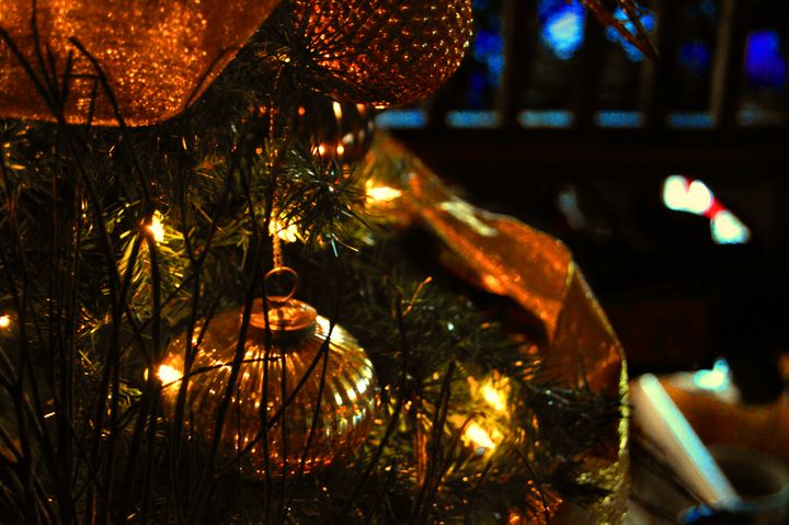 Did Someone Say Christmas - Alexis Patten - Photography, Holidays ...