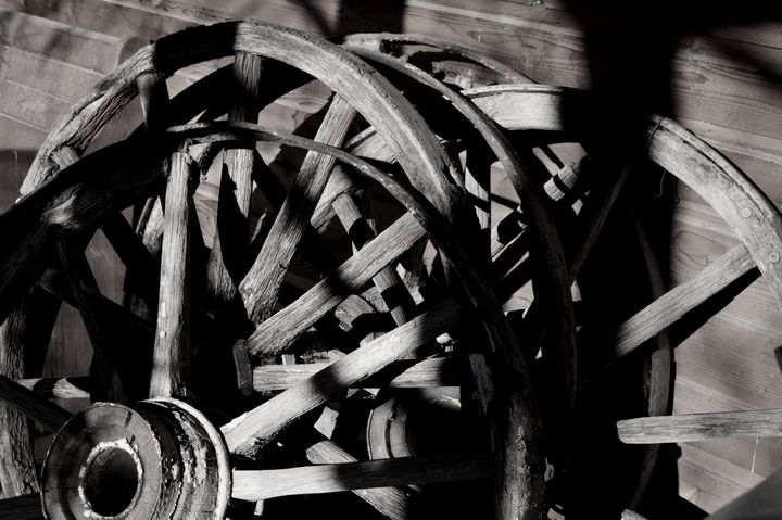 Odds Stacked Against Us - Alexis Patten - Photography, Vehicles ...