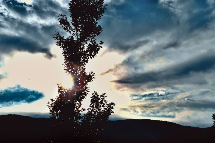 Tree Top Mountain Top - Alexis Patten - Photography, Landscapes ...