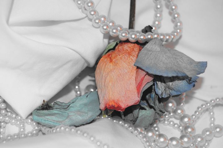 Peachy - Alexis Patten - Photography, Still Life, Floral - ArtPal