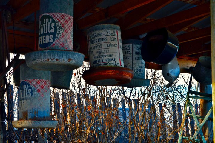 Swift's Feeds - Alexis Patten - Photography, Places & Travel, Canada ...