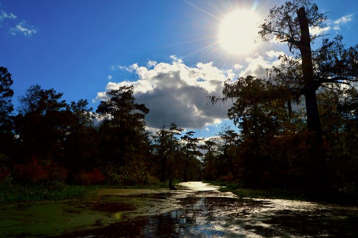 Down We Go - Alexis Patten - Photography, Places & Travel, United ...