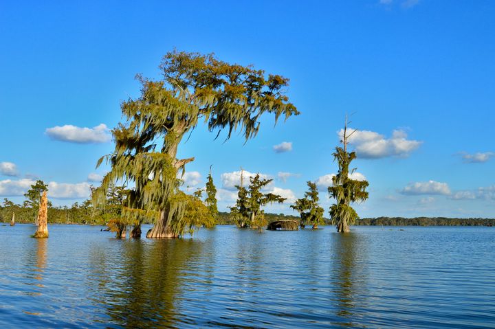 On a Curve - Alexis Patten - Photography, Places & Travel, United ...