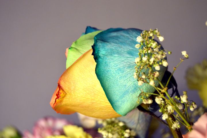 Beside Itself - Alexis Patten - Photography, Flowers, Plants, & Trees ...