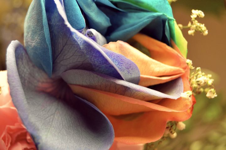 Concentrate - Alexis Patten - Photography, Flowers, Plants, & Trees ...