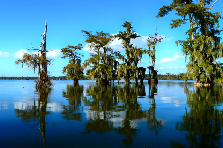 Reflect Much? - Alexis Patten - Photography, Landscapes & Nature ...