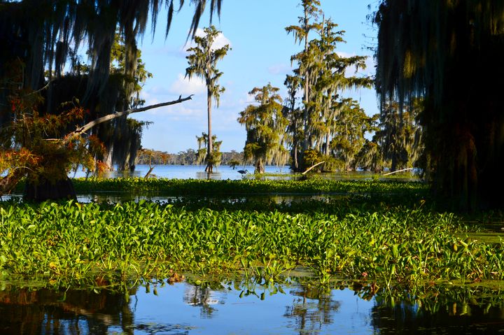 Caught Me in the Light - Alexis Patten - Photography, Landscapes ...