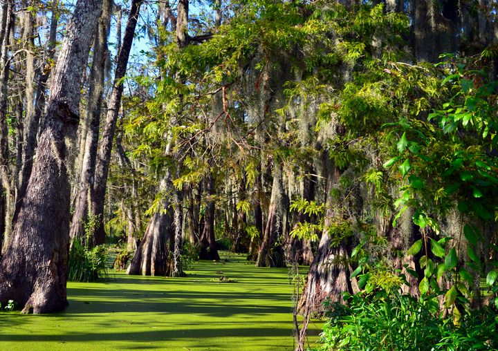 Travel My Path - Alexis Patten - Photography, Landscapes & Nature ...