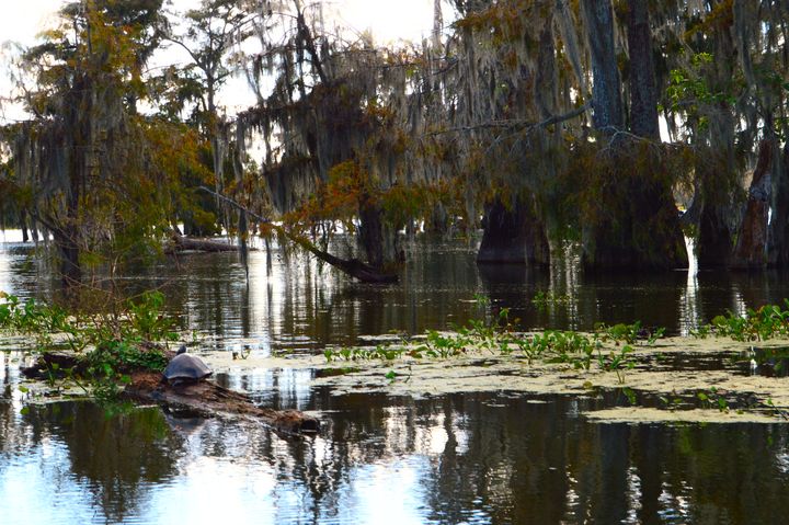 Laze Around With Me - Alexis Patten - Photography, Landscapes & Nature ...