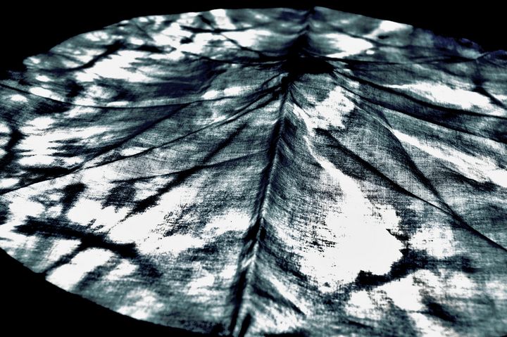 Where Does it Lay? - Alexis Patten - Photography, Abstract, Movement ...