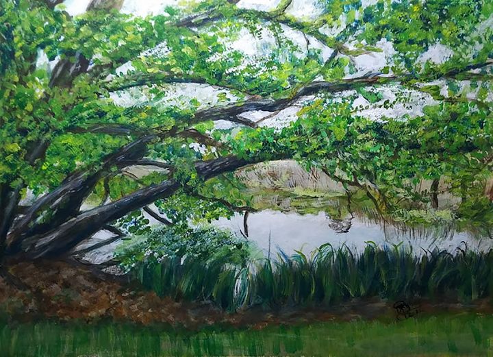 Davis Bayou - Kirsty Smith Innis - Art - Paintings & Prints, Landscapes ...