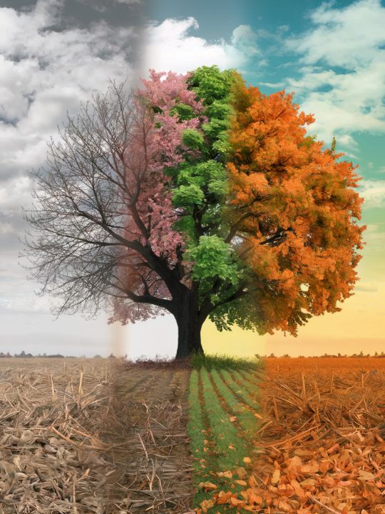 Four Seasons In A Tree - LOGICX - Digital Art & AI, Flowers, Plants ...