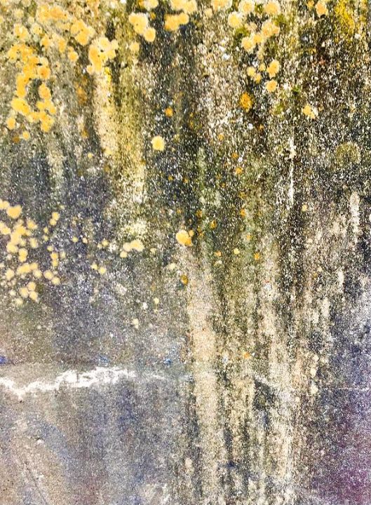 Fleurs d’amour - Ernest Williamson III, PhD - Photography, Flowers, Plants, & Trees, Flowers ...