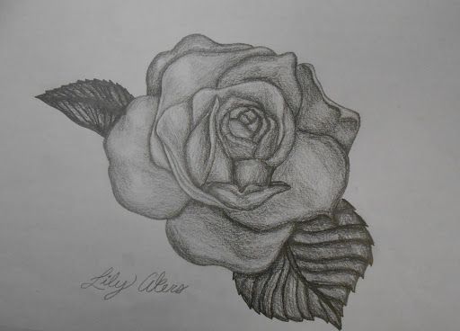 Graphite Rose - Lily's Art - Drawings & Illustration, Flowers, Plants ...