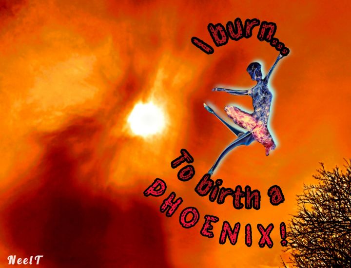 Phoenix Rebirth - NeelT2001 - Digital Art & AI, People & Figures ...