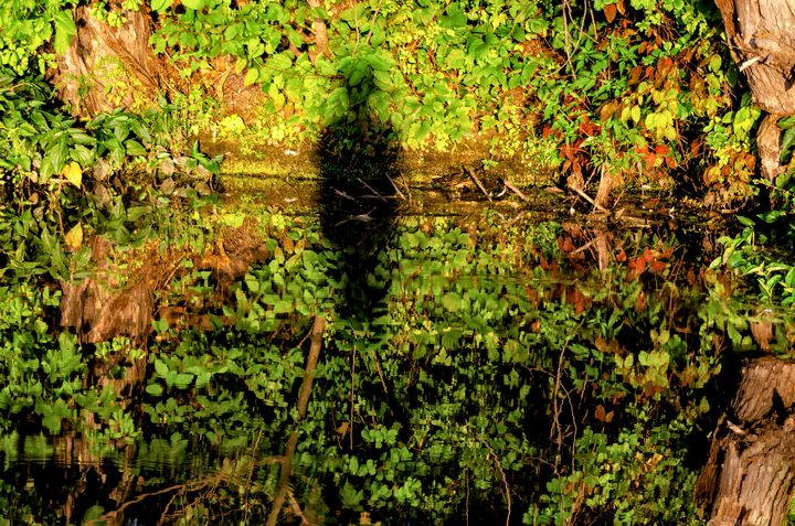 Self Portrait in Landscape - Richmanphotoart.com - Photography ...