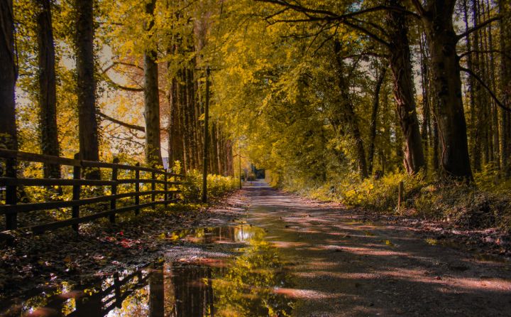 Autumn walks - My Art - Photography, Landscapes & Nature, Paths ...