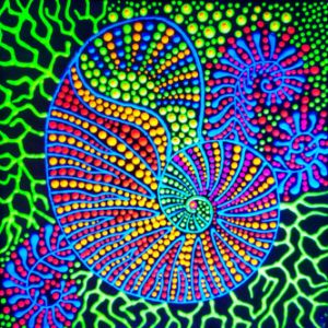 Neon Nautilus - Anastasia Sotnikova - Paintings & Prints, Animals ...