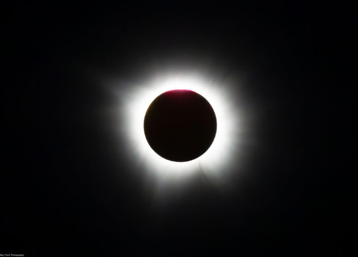 Total Eclipse with White Corona - Aspen Willow Fine Art Photography ...