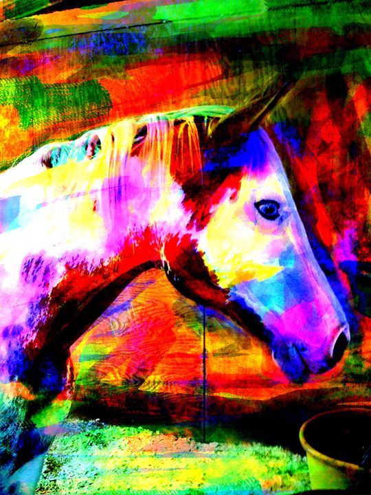 Painted Mare - Aspen Willow Fine Art Photography Gallery - Digital Art ...