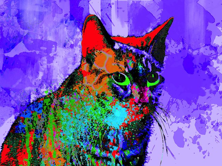 Abstra Cat - Aspen Willow Fine Art Photography Gallery - Digital Art ...