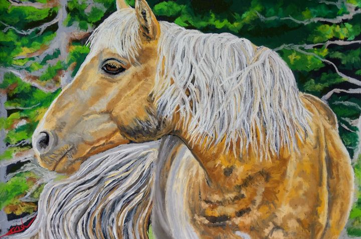 The Eyes of Bolder Wild Stallion - Trish Bonnette - Paintings & Prints ...
